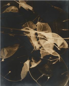 Eva Hesse | Untitled (1960 - 1961) | MutualArt