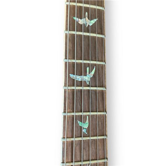 Paul Allen‏ Reed | Paul Reed Smith PRS Private Stock Super Eagle ...