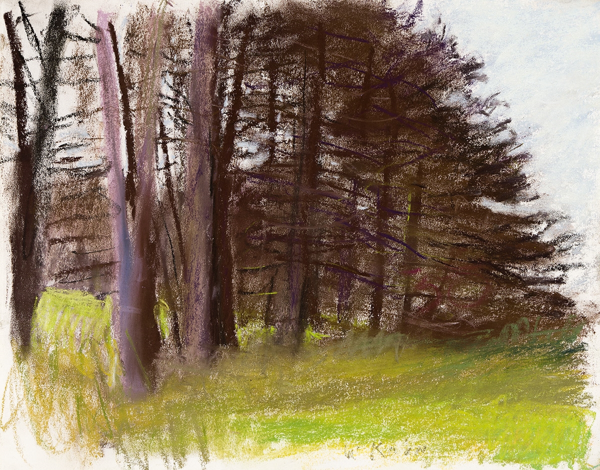 Wolf Kahn | Herb's Pines (2005) | MutualArt