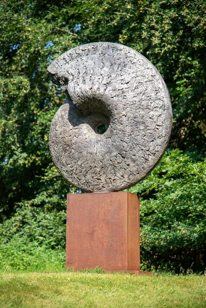 Hamish Mackie | AMMONITE CRETACEOUS (2018) | MutualArt