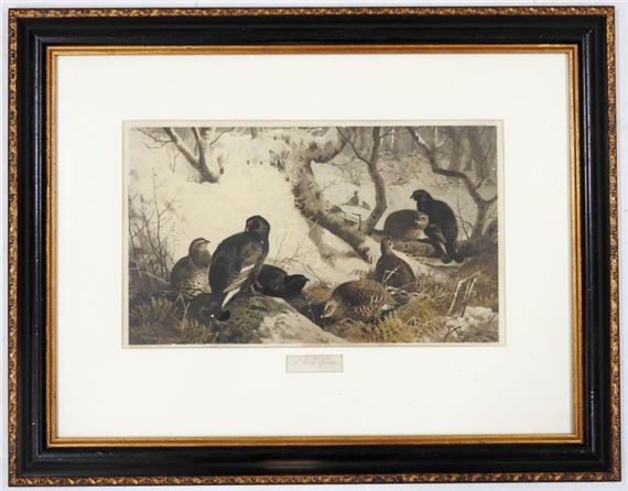 Archibald Thorburn | Jay (1917) | MutualArt