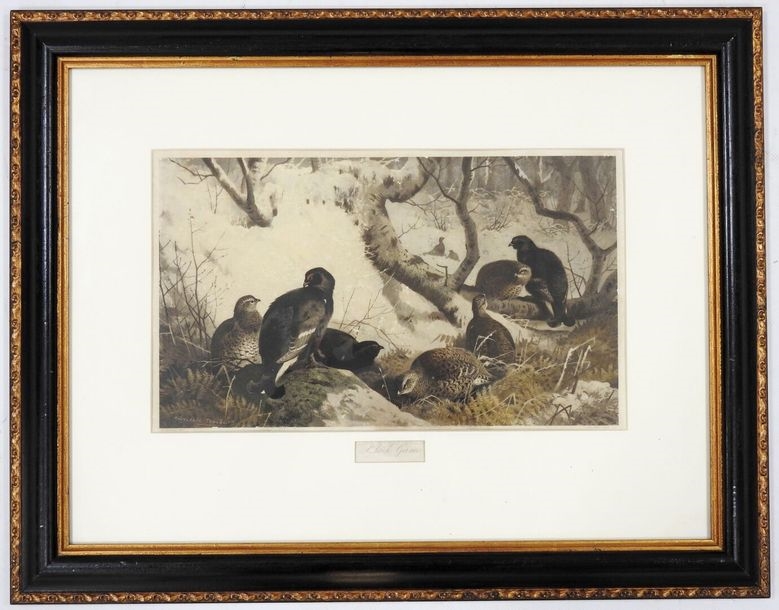 Archibald Thorburn | Jay (1917) | MutualArt