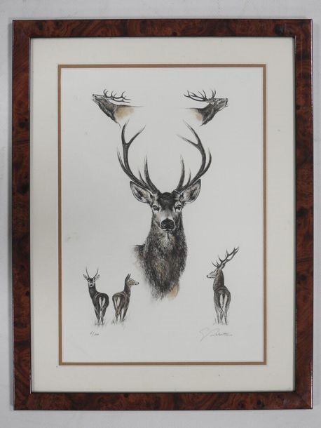 Estelle Rebottaro | Color etching | MutualArt