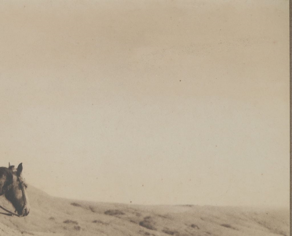 Charles H. Carpenter | The Old Hunting Grounds | MutualArt