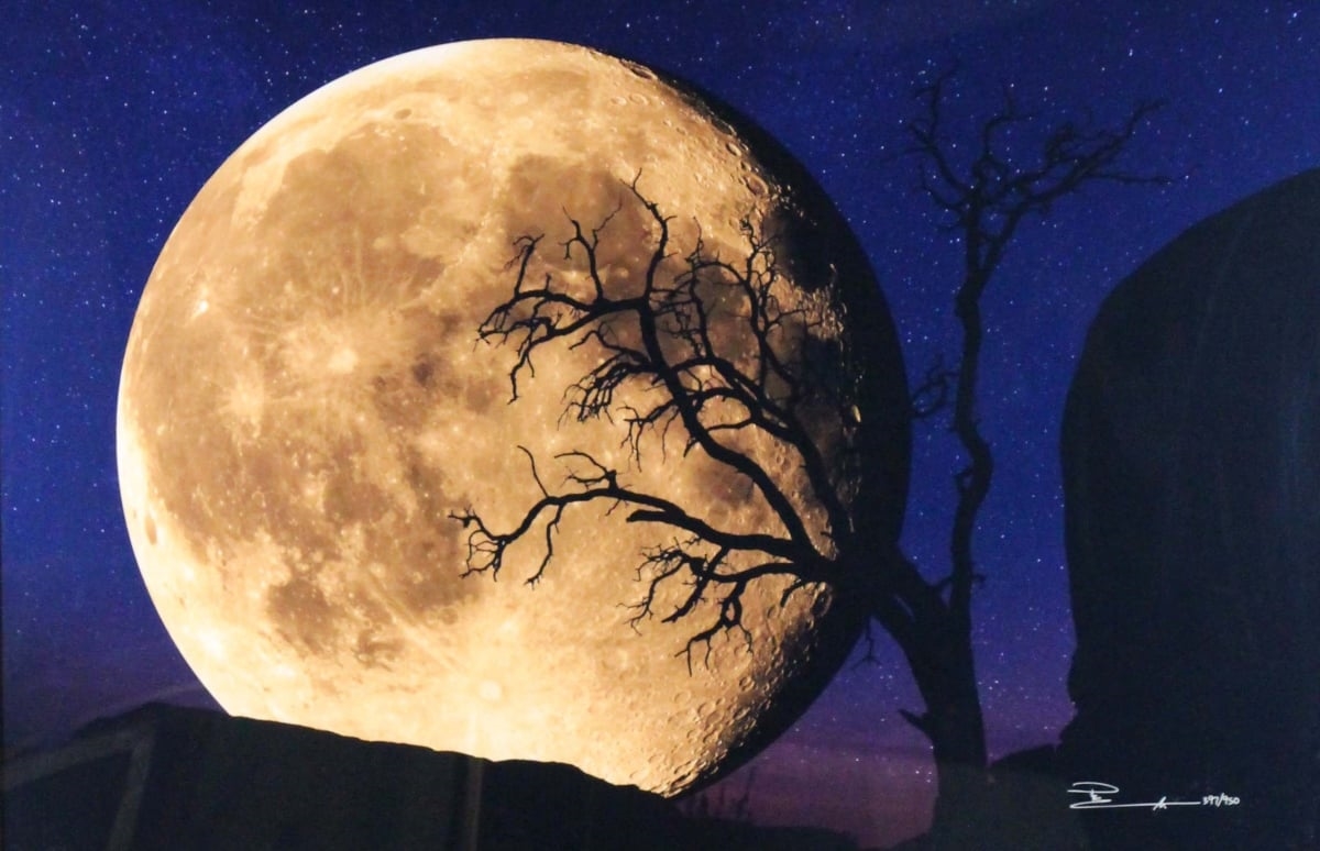 Peter Lik | Bella Luna | MutualArt