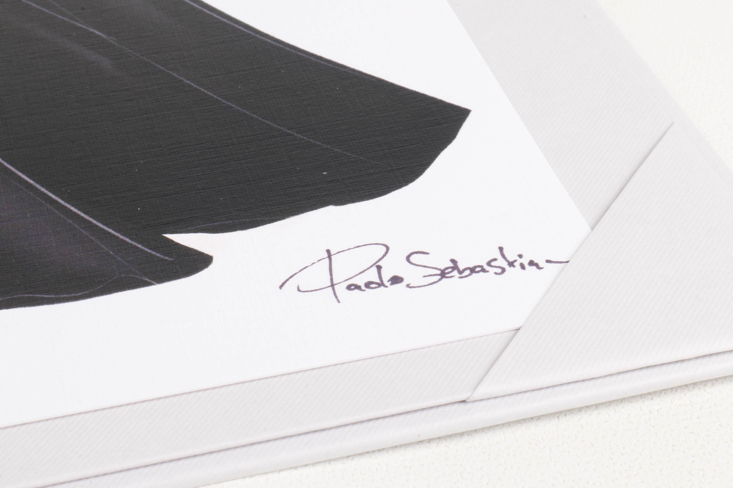 Paolo Sebastian | PAOLO SEBASTIAN DRAWING | MutualArt