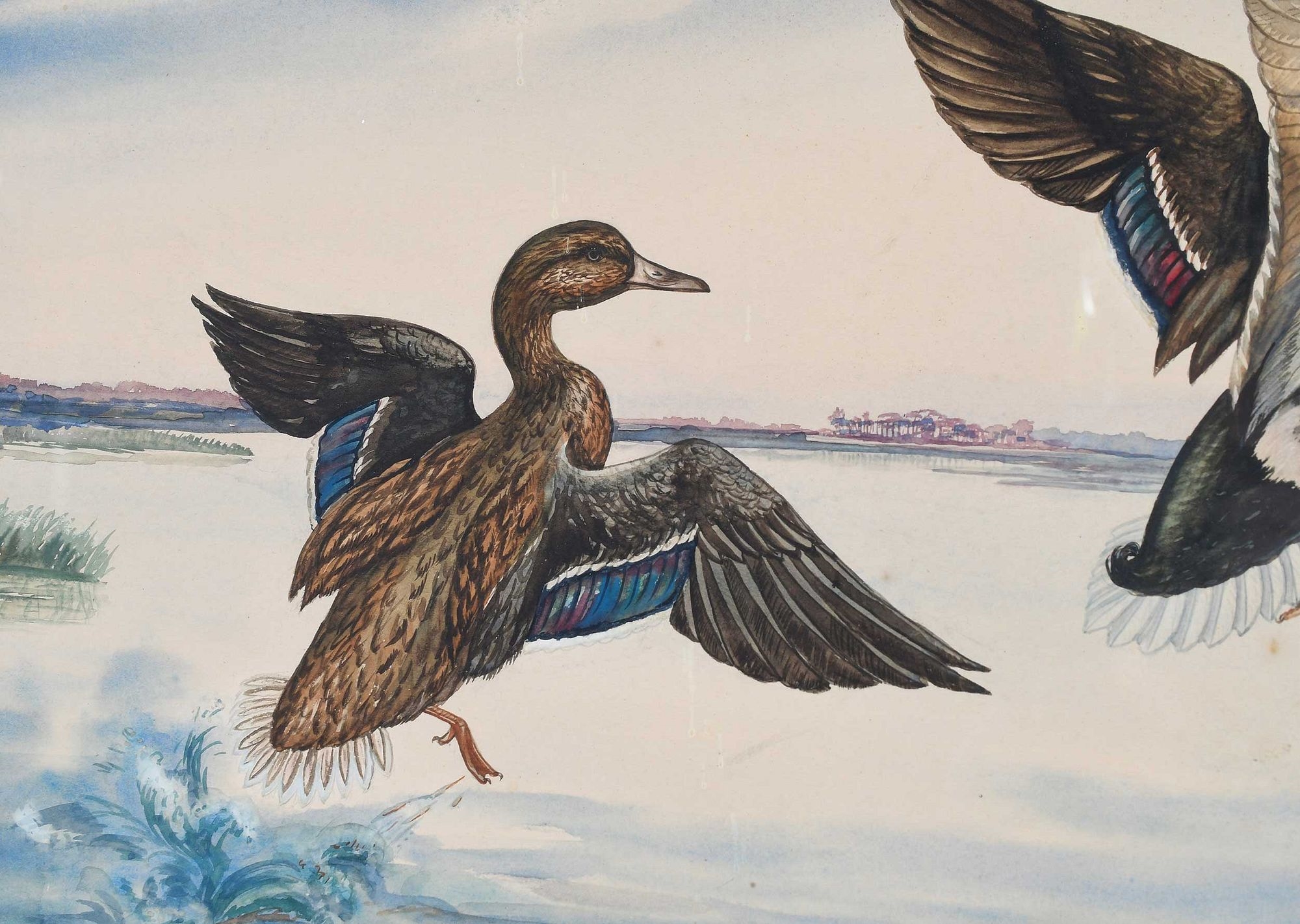 Anne Worsham Richardson | Mallards | MutualArt