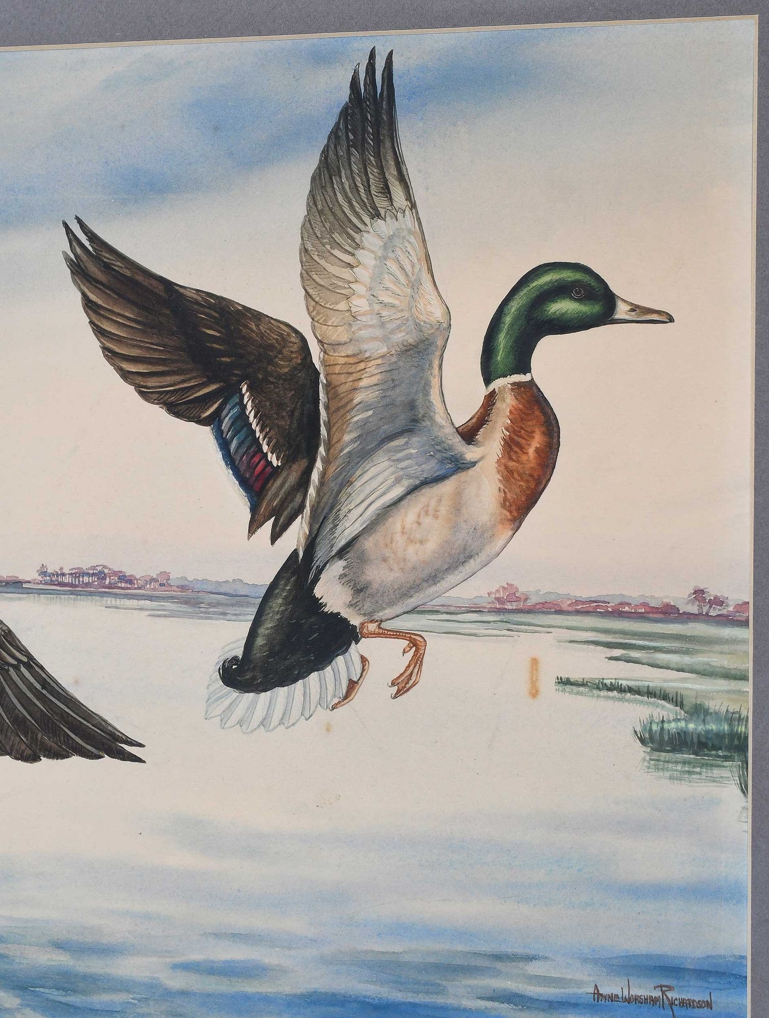 Anne Worsham Richardson | Mallards | MutualArt