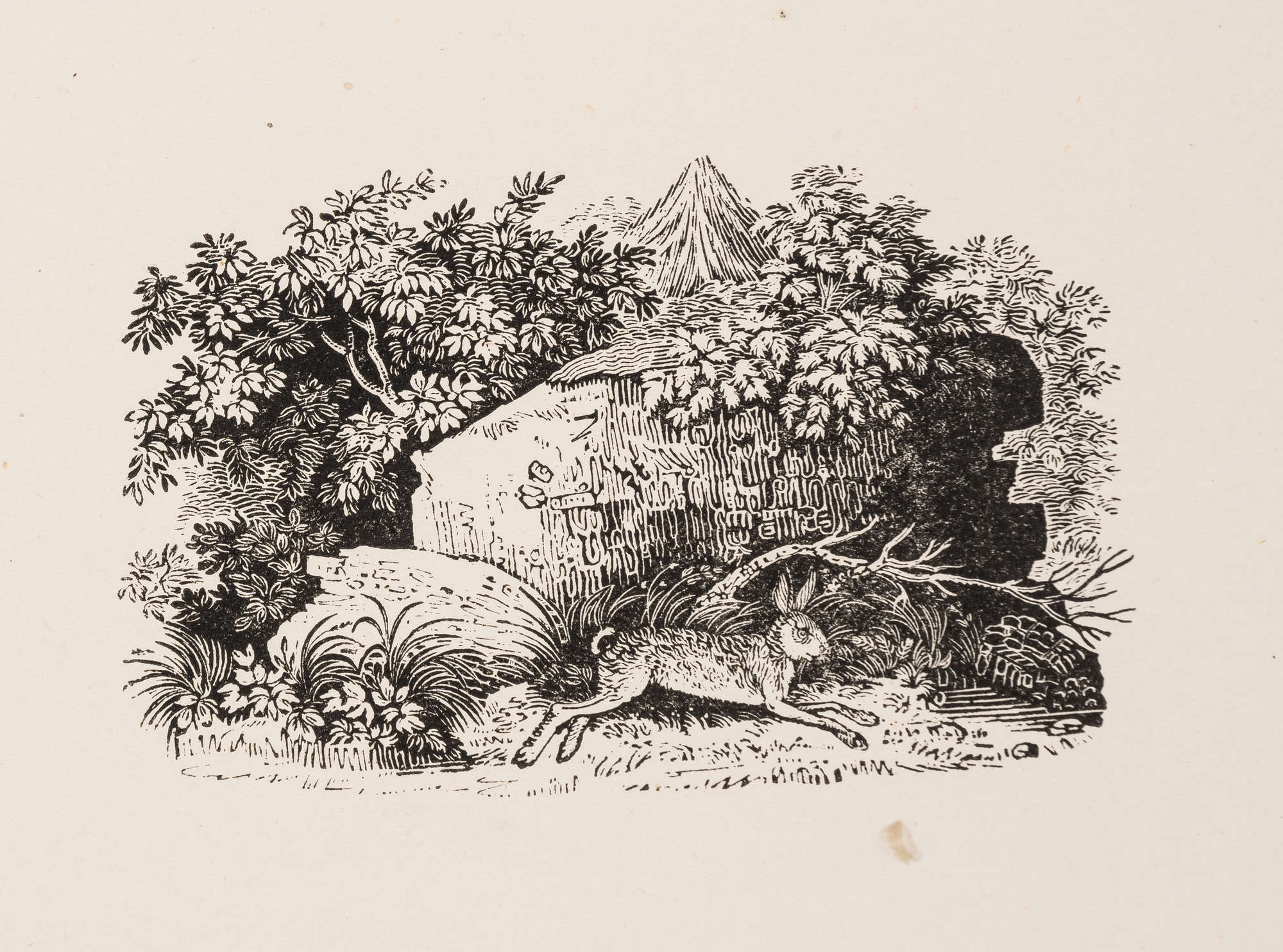 Thomas Bewick | Bewick Memento... (1884) | MutualArt