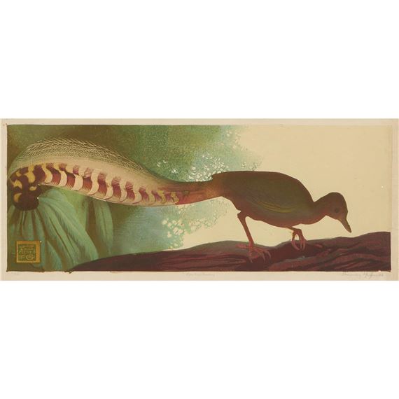 Vaughan Murray Griffin | Lyre Bird Feeding (1936) | MutualArt