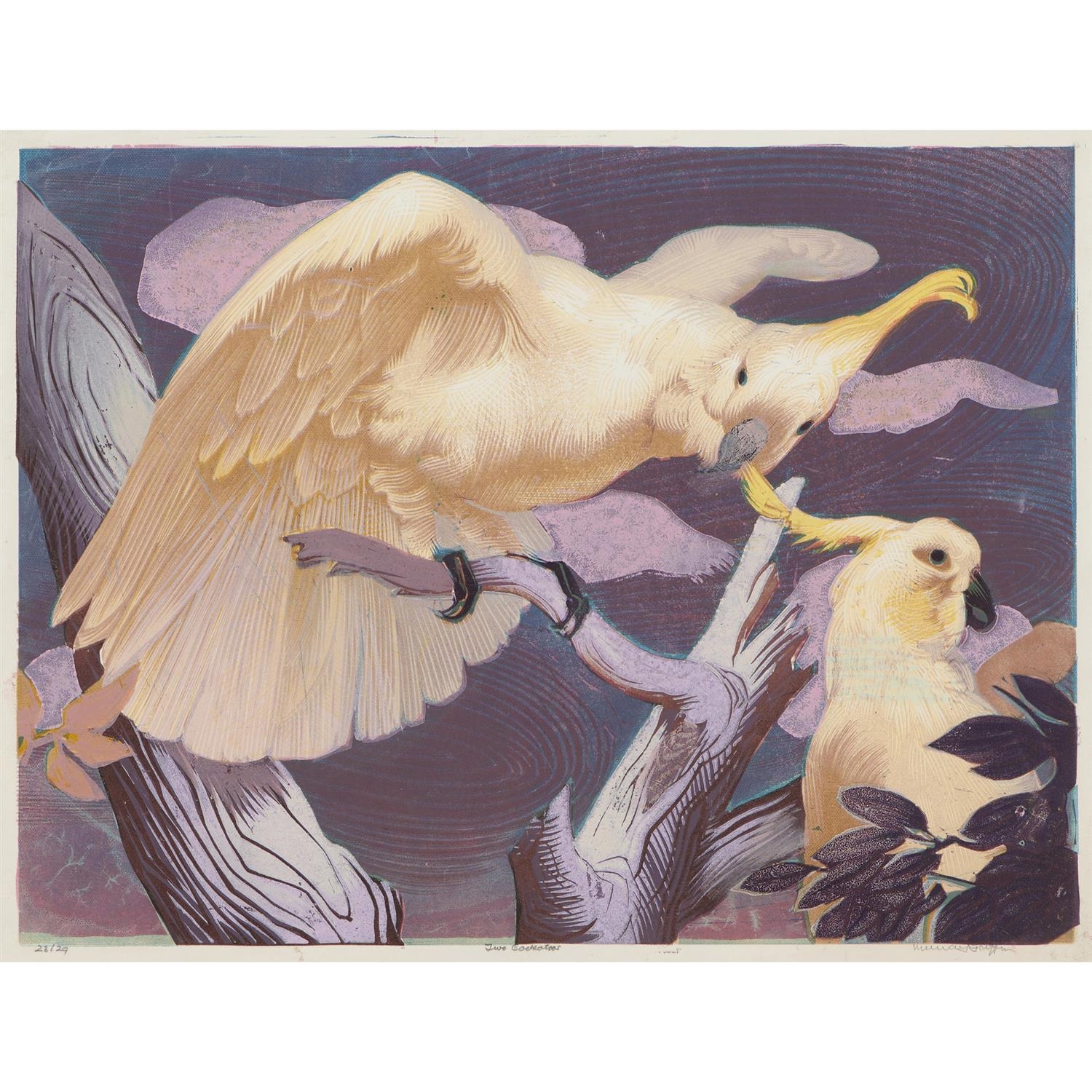 Vaughan Murray Griffin | Two Cockatoos (1969) | MutualArt