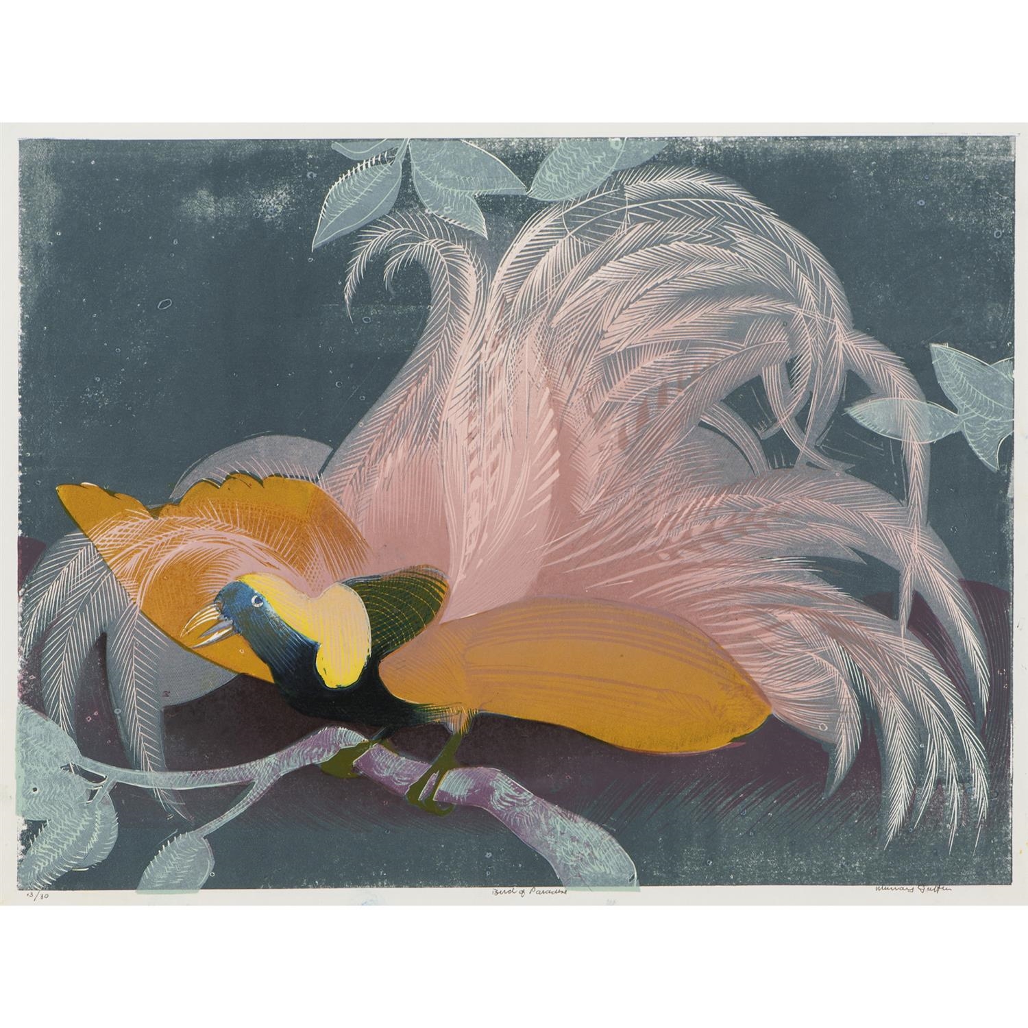 Vaughan Murray Griffin | Bird of Paradise | MutualArt