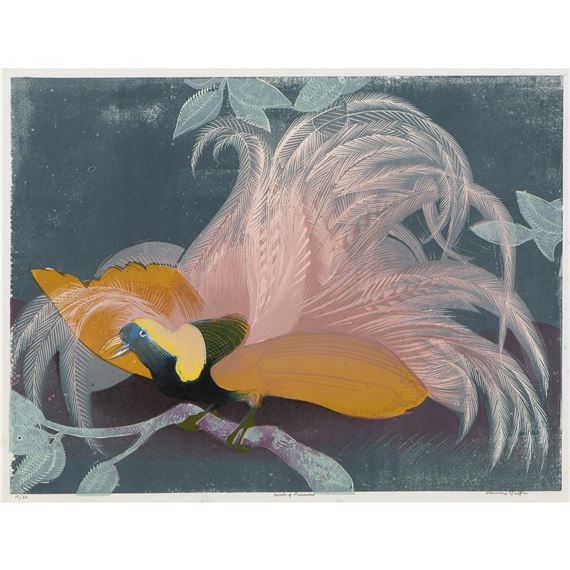 Vaughan Murray Griffin | Bird of Paradise | MutualArt