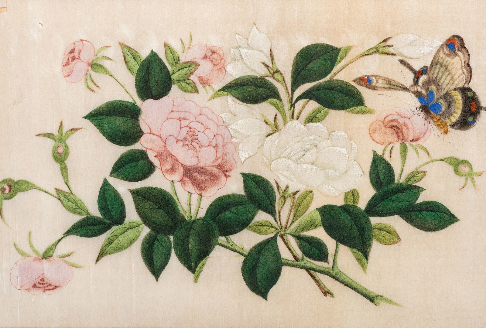 Chinese Export School | Three Chinese Pith Paintings of Butterflies and ...