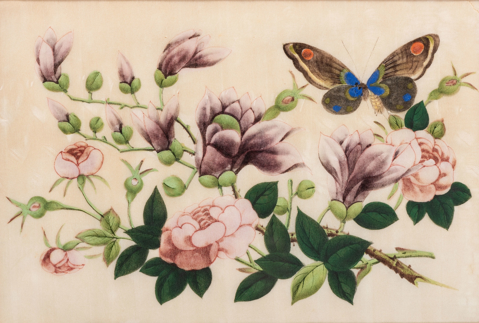 Chinese Export School | Three Chinese Pith Paintings of Butterflies and ...