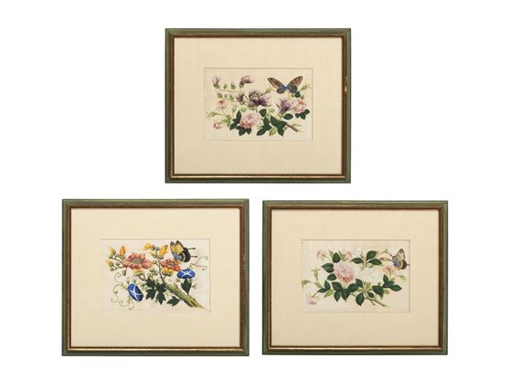 Chinese Export School | Three Chinese Pith Paintings of Butterflies and ...