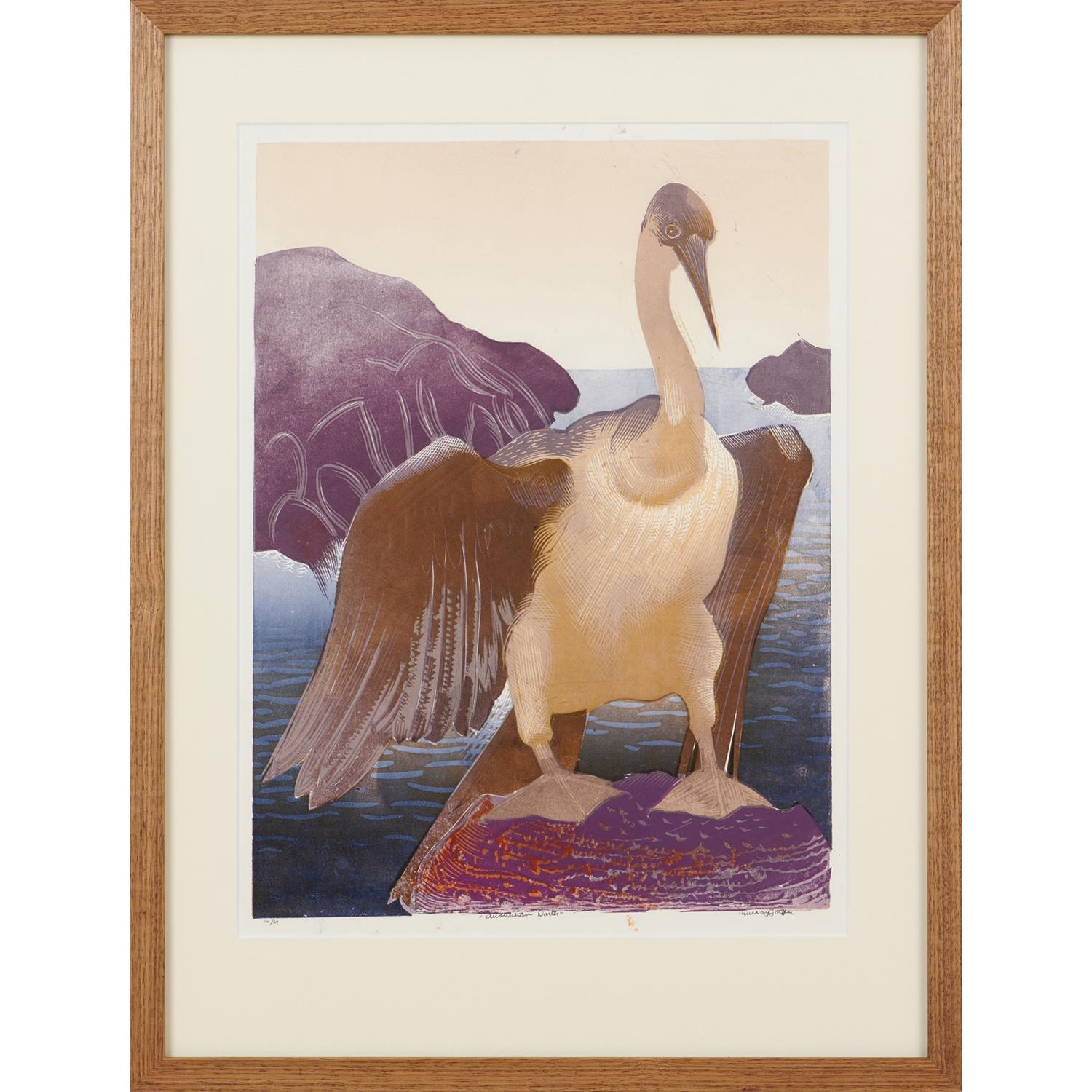 Vaughan Murray Griffin | Australian Darter | MutualArt