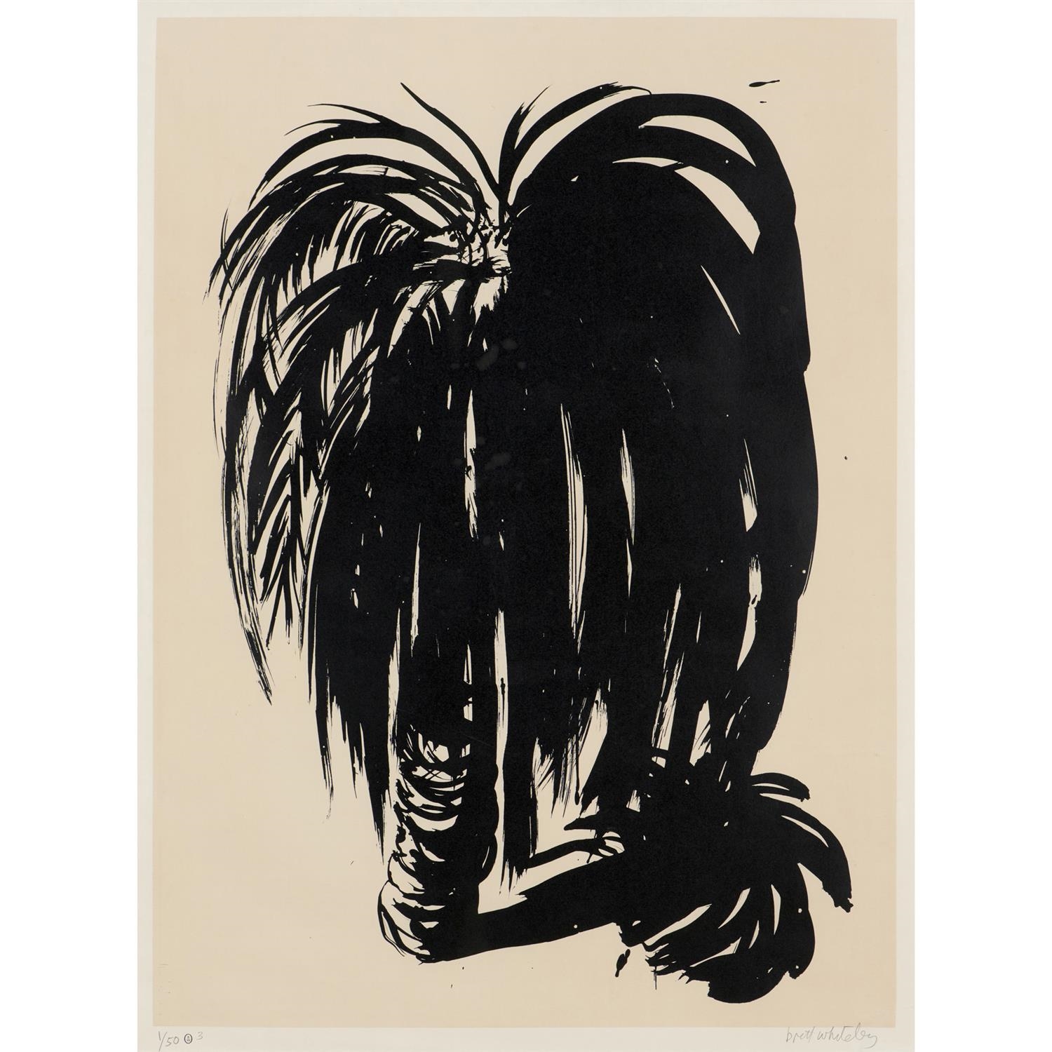 Brett Whiteley | The Drought Crow: Sloping Up on the Olgas 1 (Up Front ...