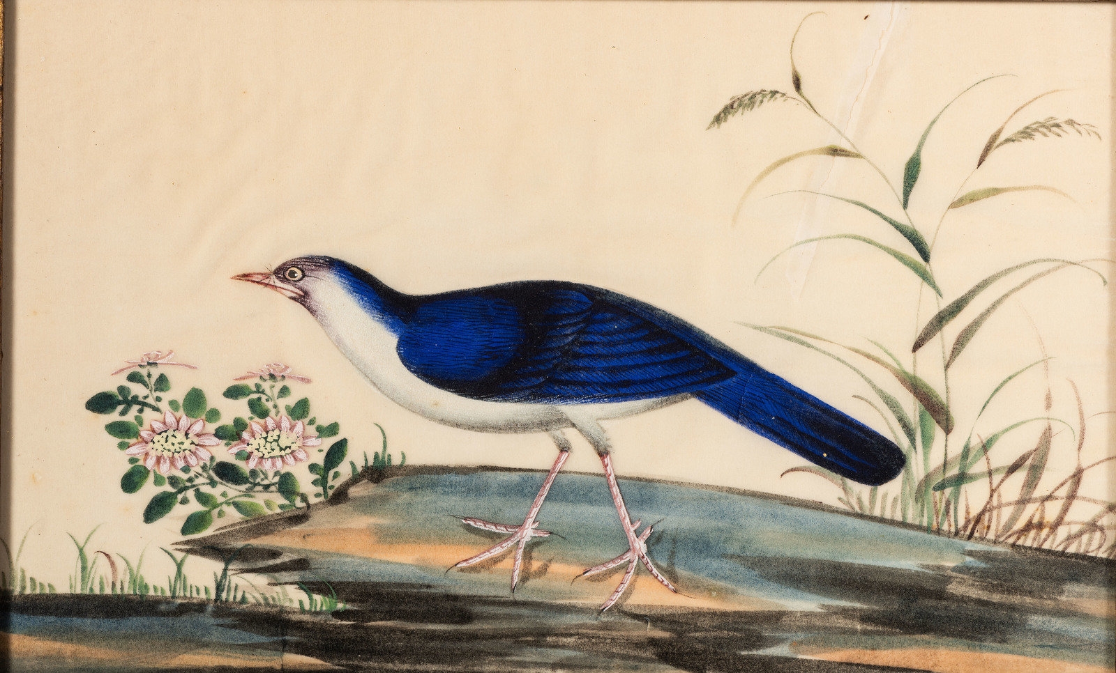 Chinese Export School | Two Chinese Export Pith Paintings of Birds ...