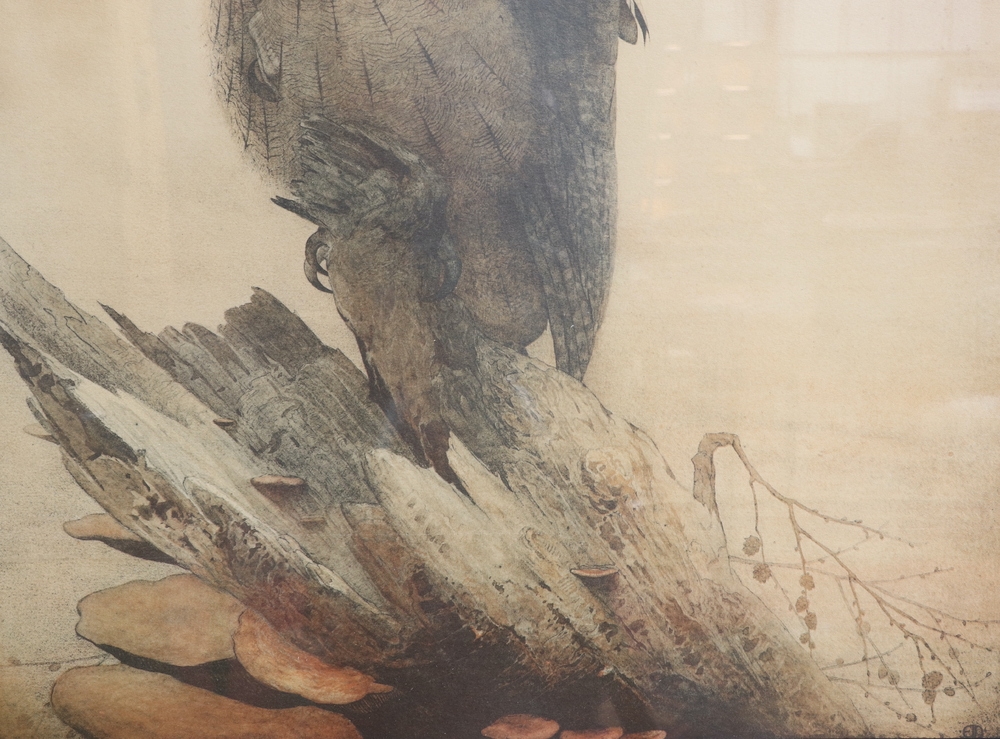 Edward Julius Detmold | The Great Eagle Owl | MutualArt