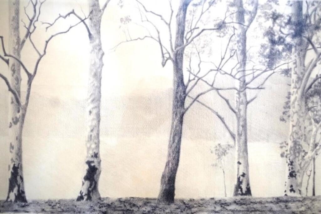 David Lloyd Preston | Five Gums | MutualArt