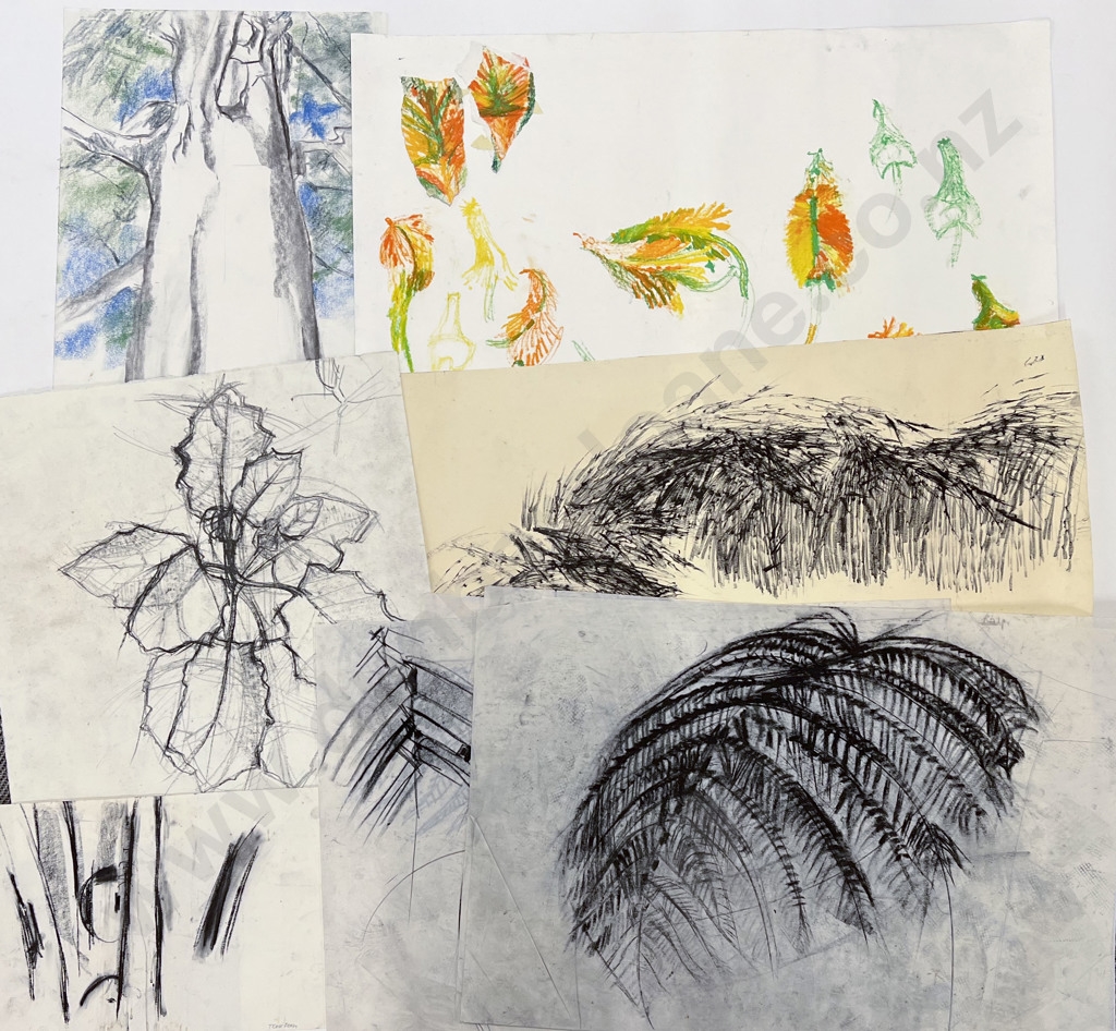 Susan Skerman | Large Quantity Unframed Sketches | MutualArt