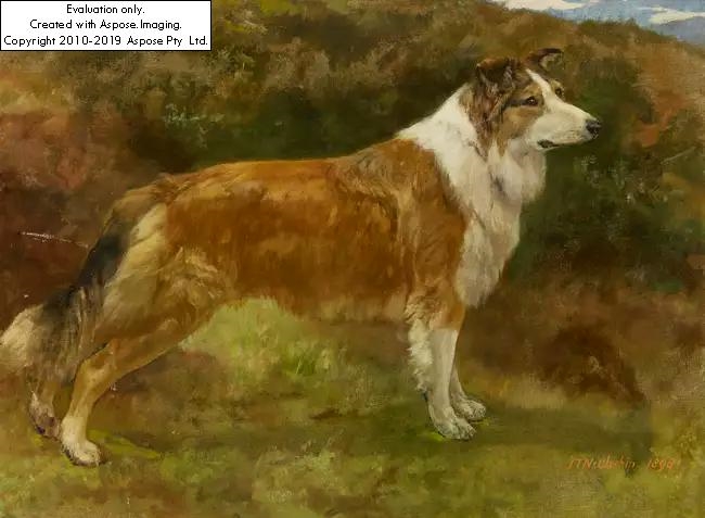 John Trivett Nettleship | Portrait of a Border Collie in a landscape ...
