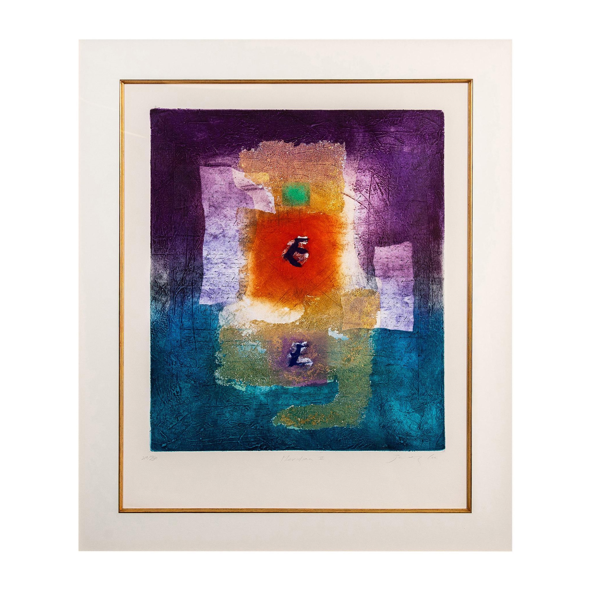 Janine Cox | Janine Cox, Original Large Color Etching, Meridian, Signed ...