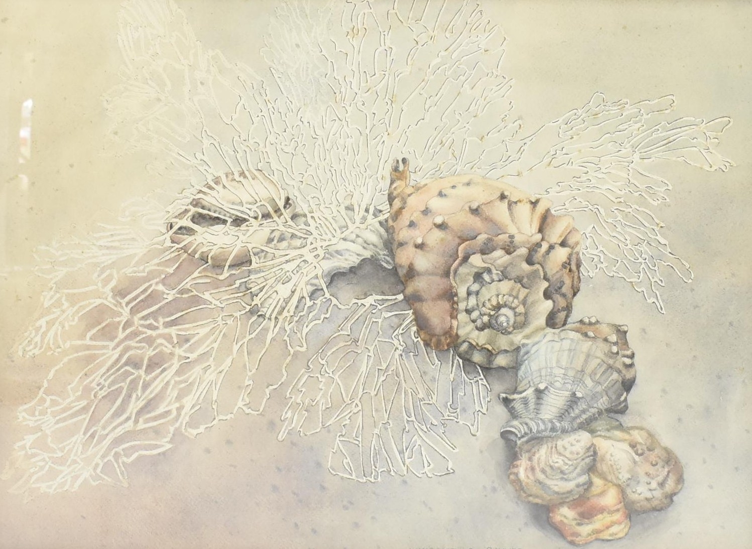 Winsome S. Rayner | Botanical & Coral (1965) | MutualArt