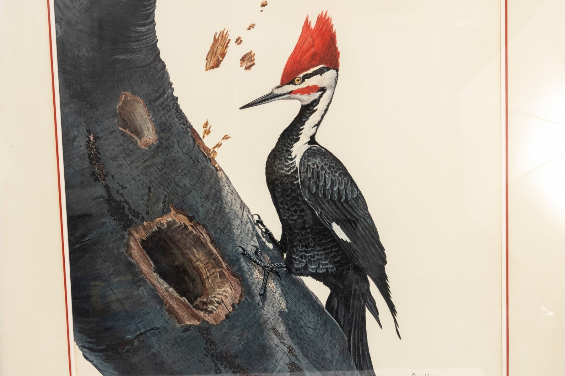 Ray Harm | Belted Kingfisher | MutualArt