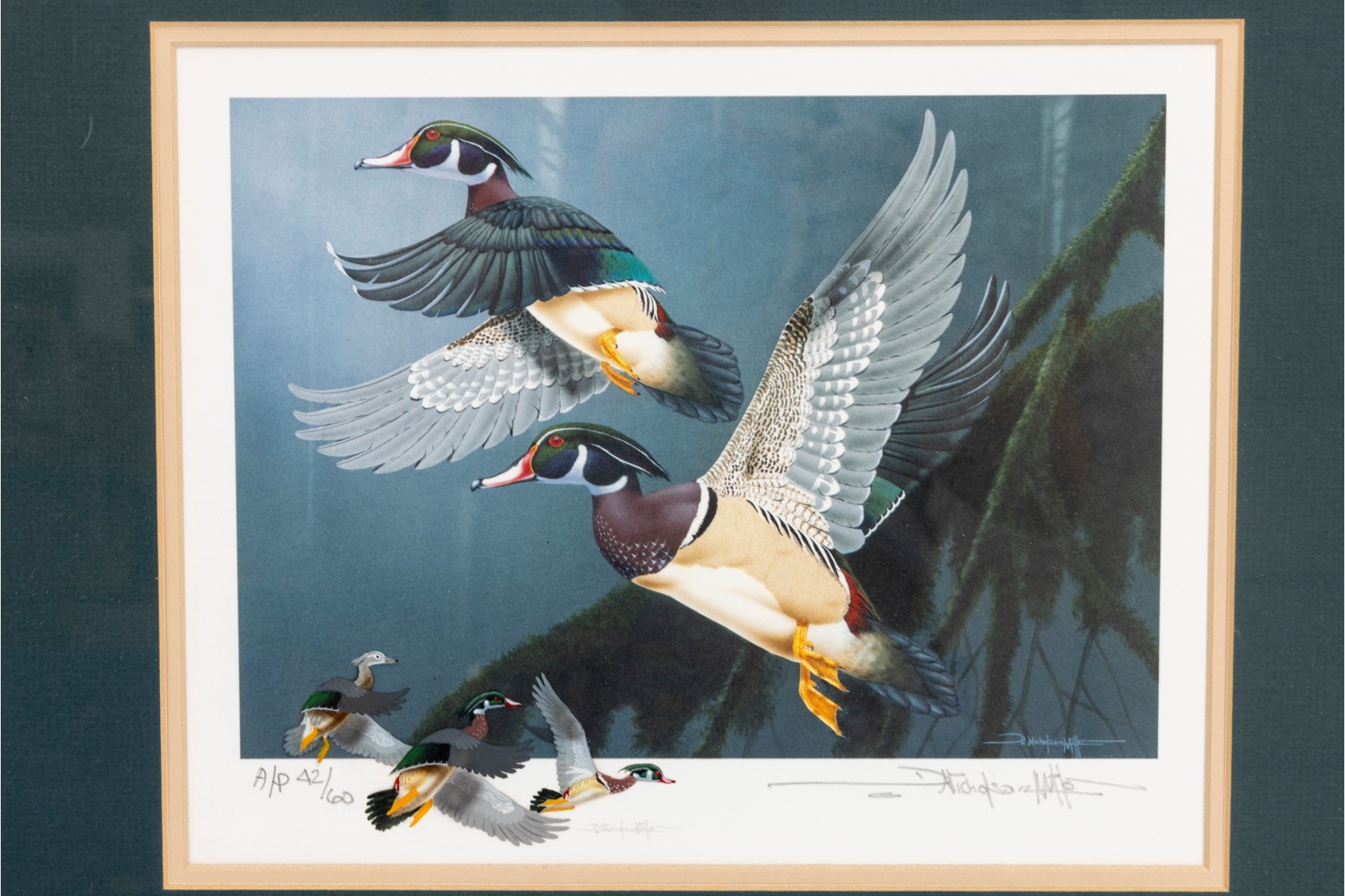 Donald Nicholson Miller | Wood Duck (1999) | MutualArt