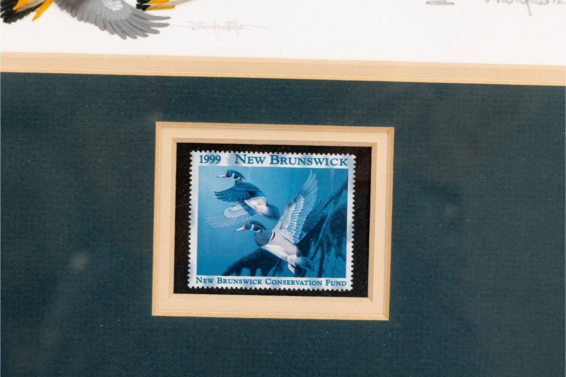 Donald Nicholson Miller | Wood Duck (1999) | MutualArt