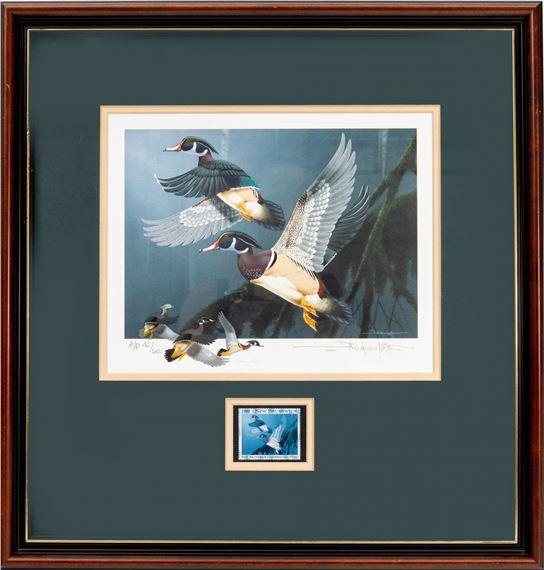 Donald Nicholson Miller | Wood Duck (1999) | MutualArt