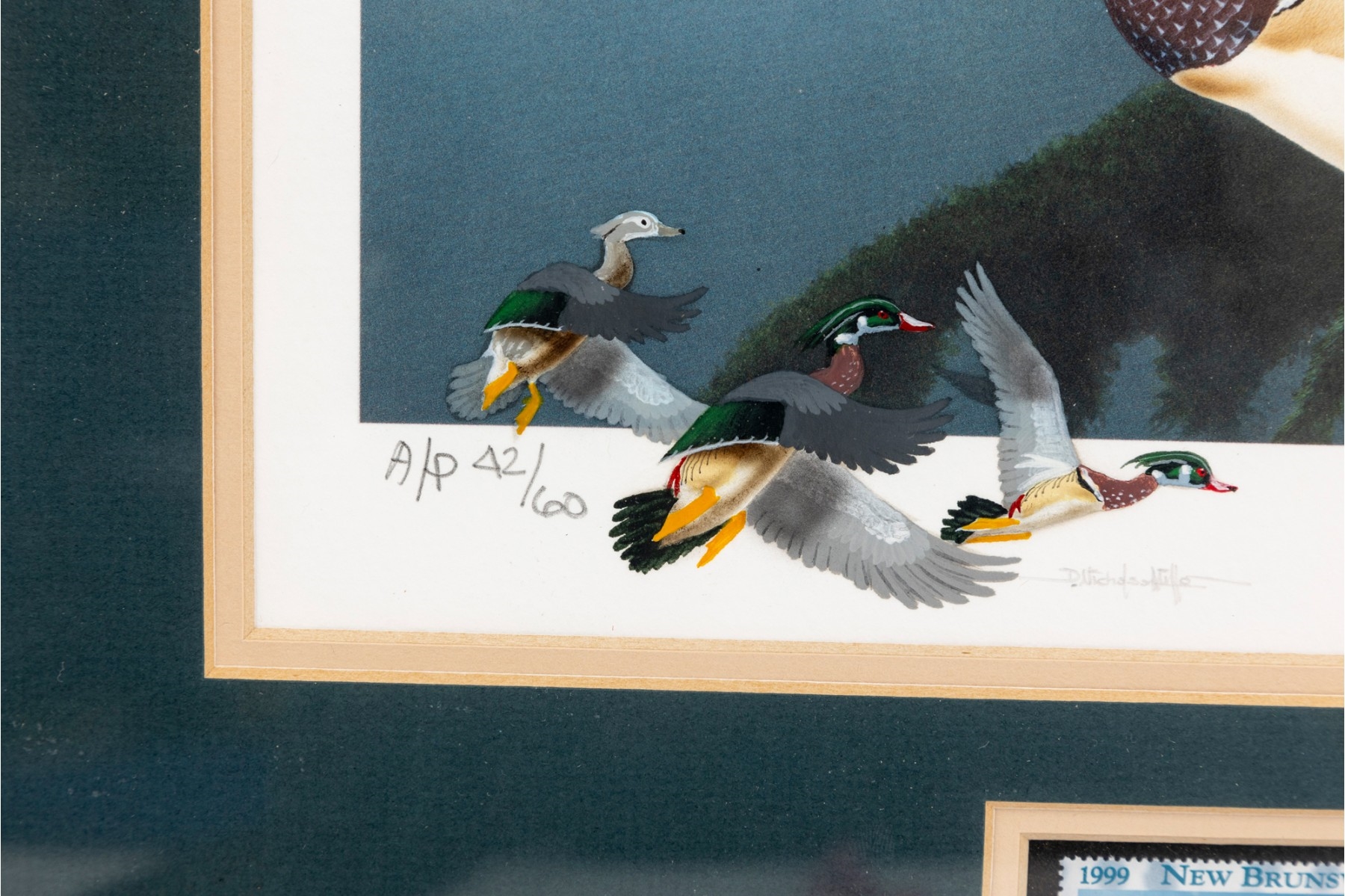 Donald Nicholson Miller | Wood Duck (1999) | MutualArt