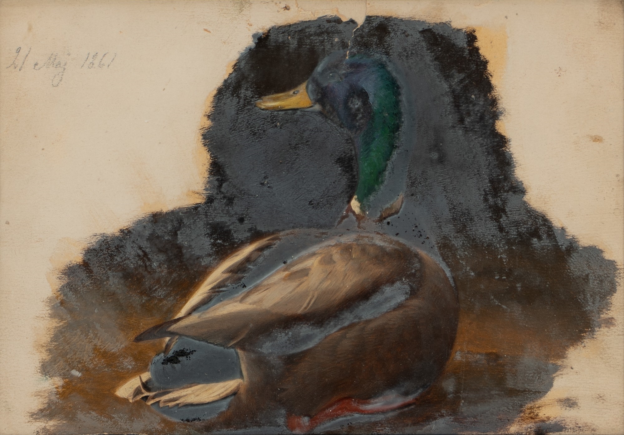 Ferdinand von Wright | Mallard | MutualArt