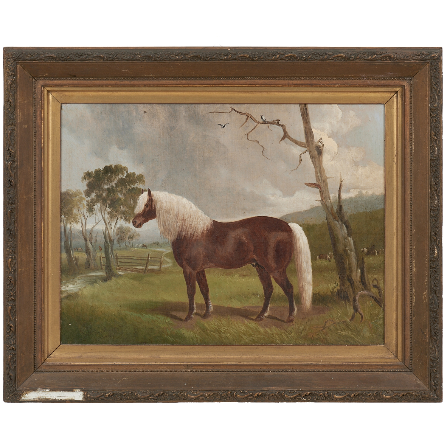 Frederick Woodhouse | FALCON: WINNER OF THE 1864 ADELAIDE CUP (1865 ...