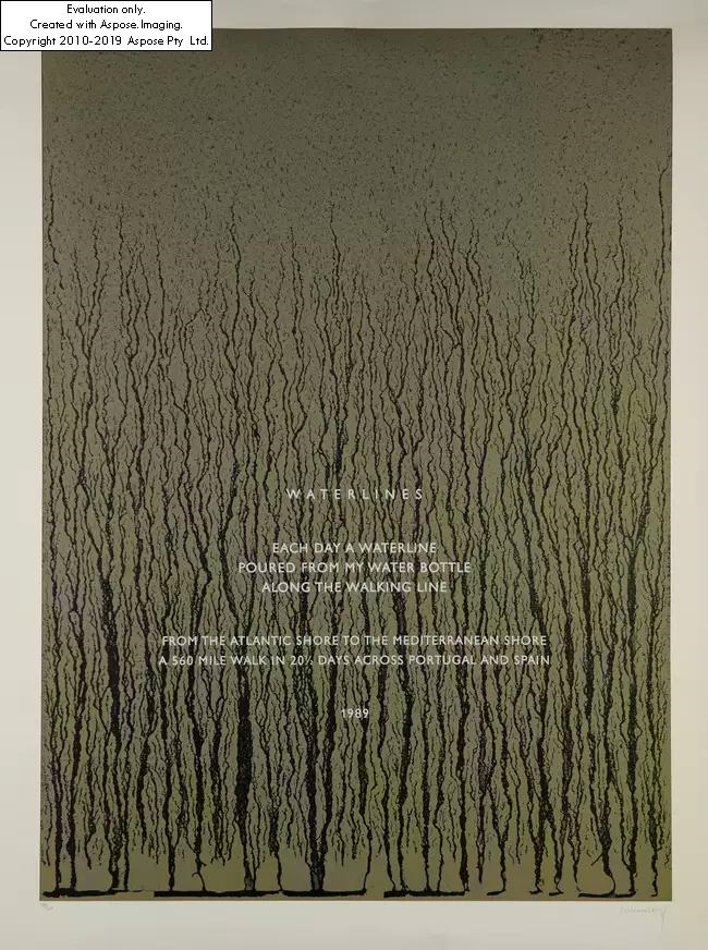 Richard Long | British b.1945- Waterlines (1945) | MutualArt