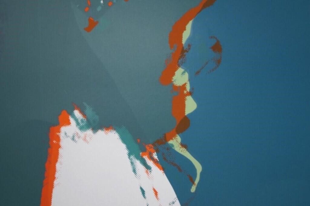 Andy Warhol | Andy Warhol (1928-1987) Screen print in color | MutualArt
