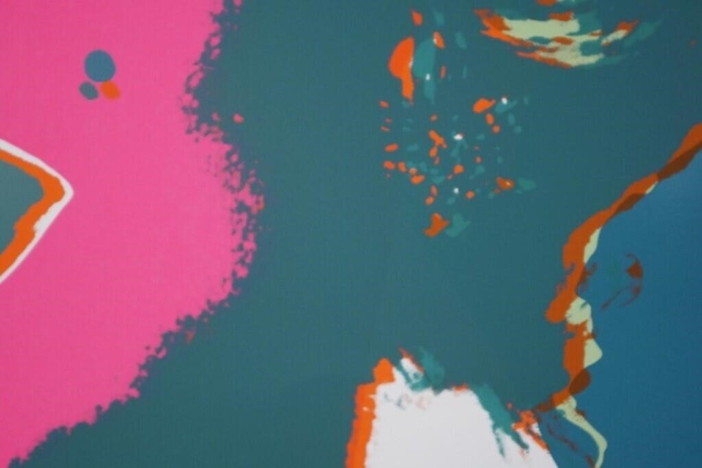Andy Warhol | Andy Warhol (1928-1987) Screen print in color | MutualArt