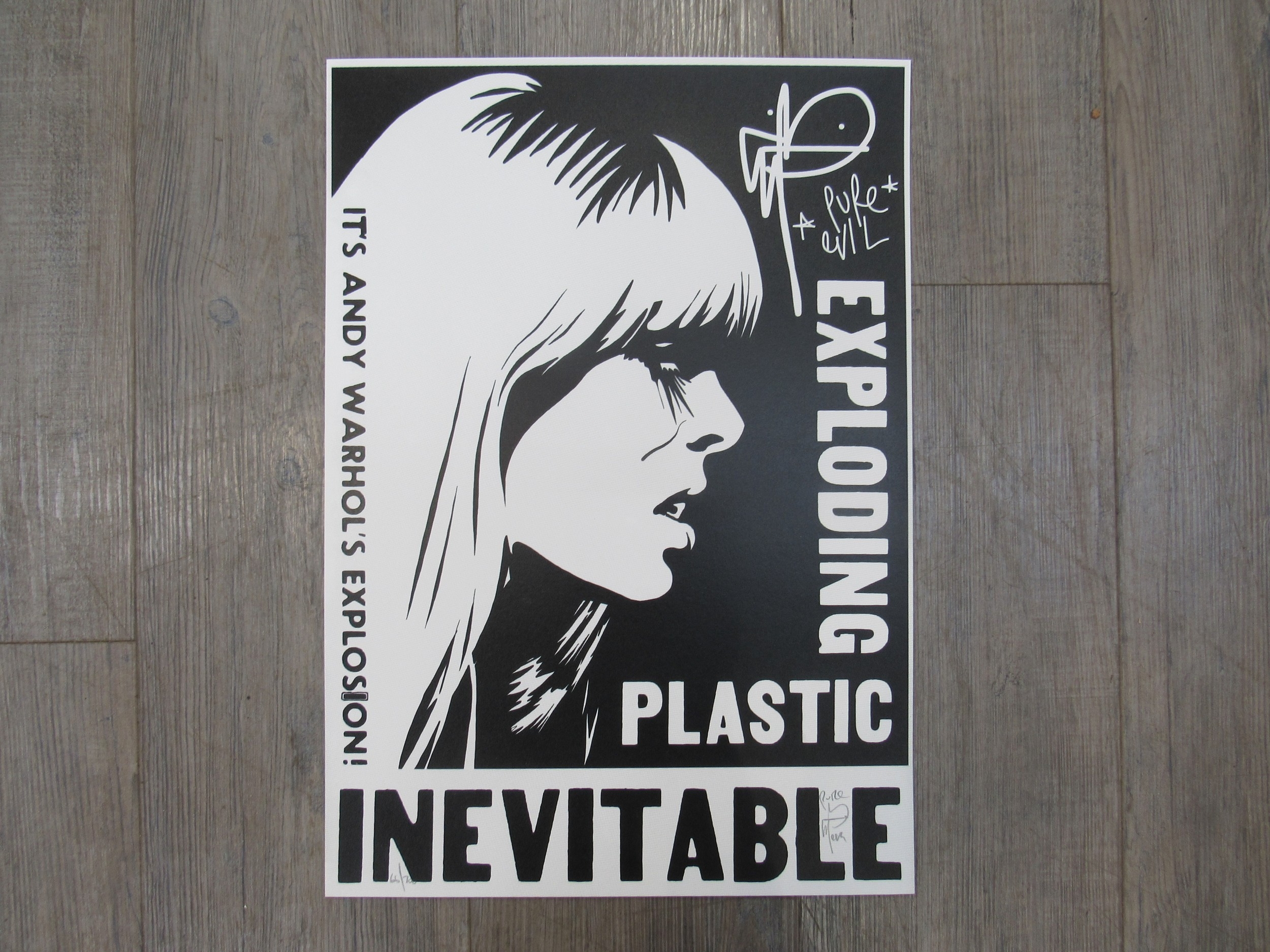 Pure Evil | Nico - Andy Warhol Exploding plastic inevitable | MutualArt