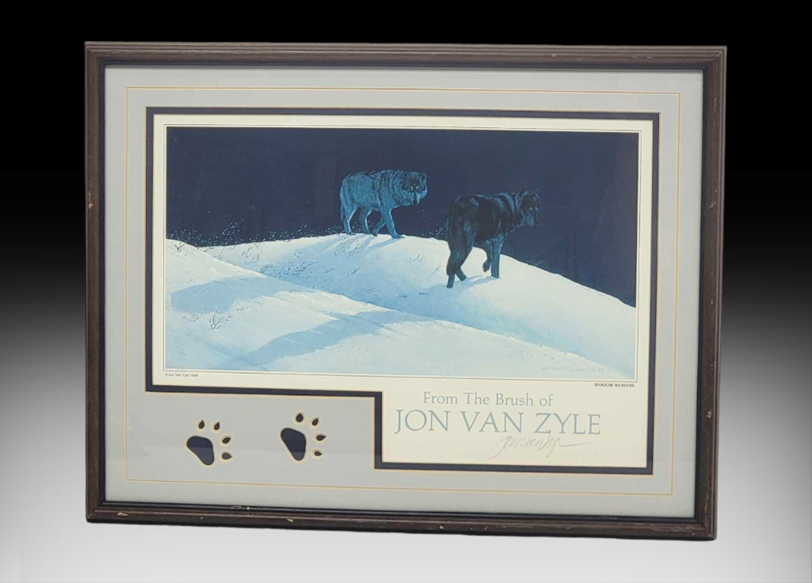 Jon Van Zyle | Shadow Weaver | MutualArt