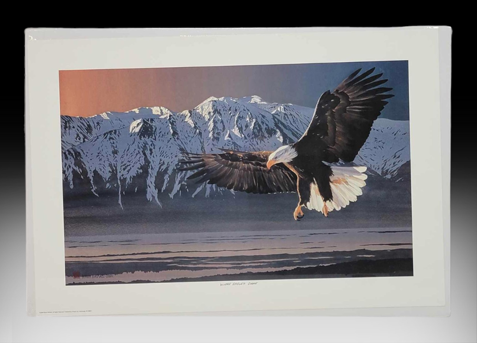 Byron Birdsall | Where Eagles Dare | MutualArt