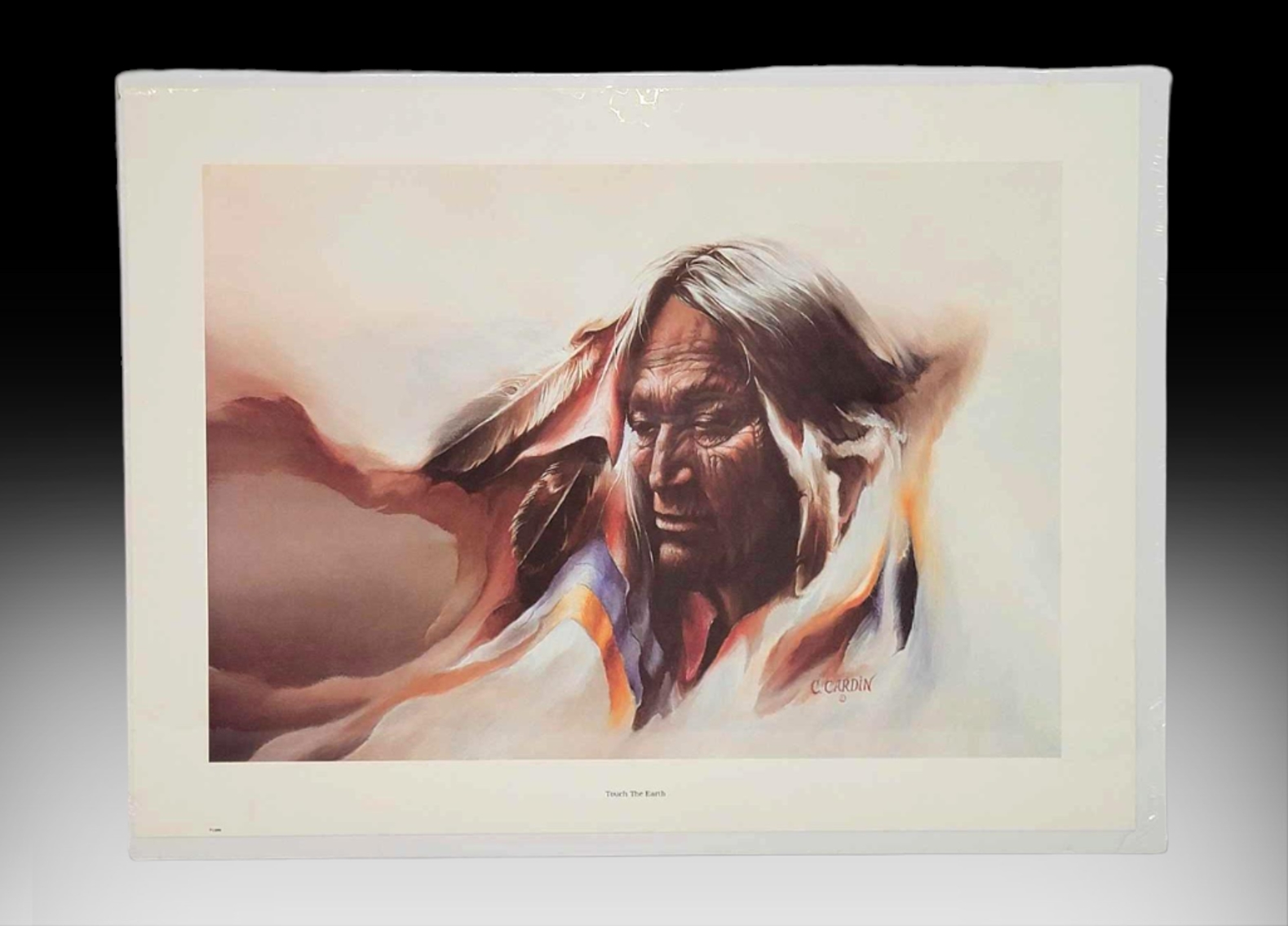 Chris L. Cardin | Touch the Earth | MutualArt