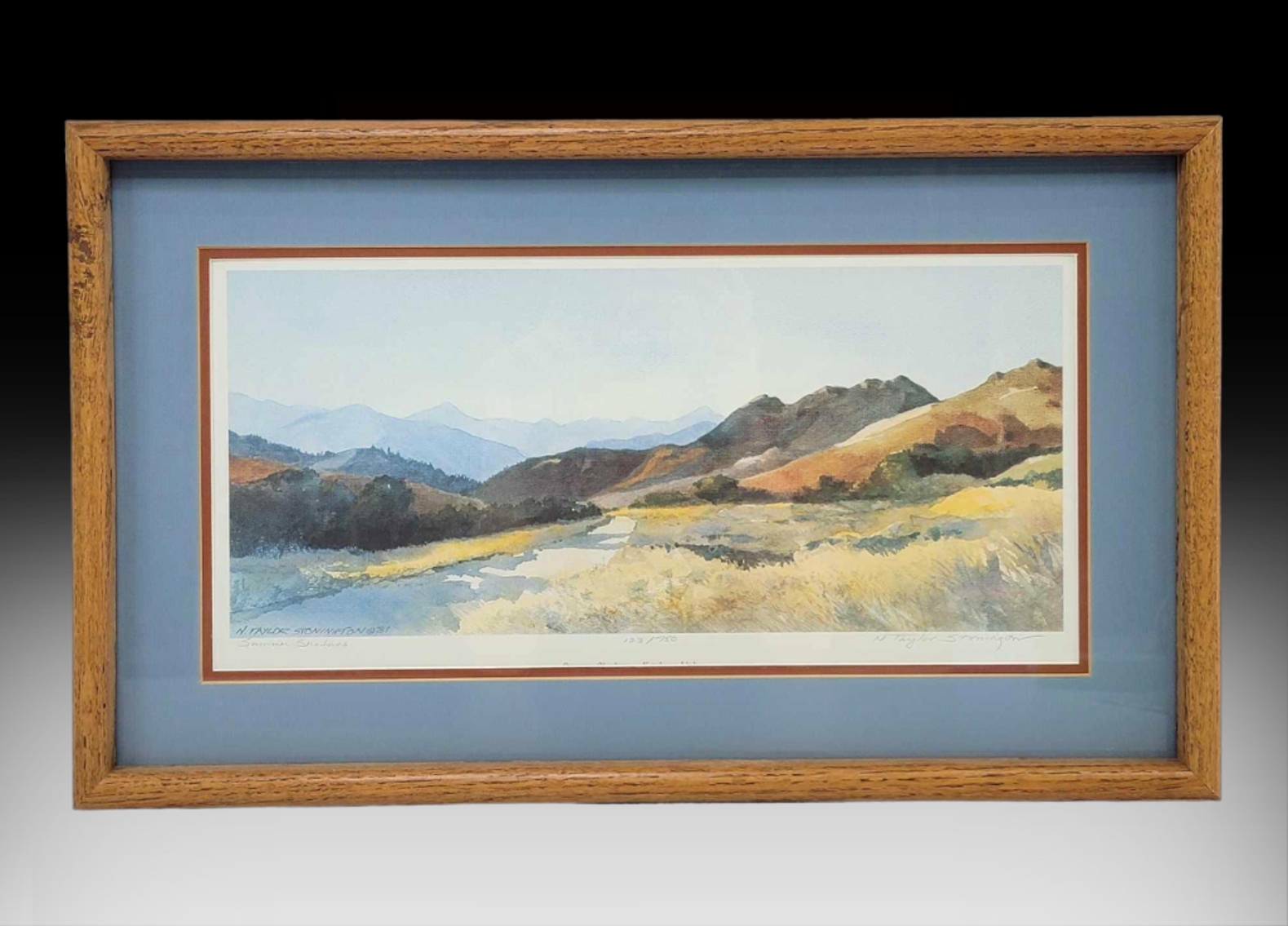 Nancy Taylor Stonington | Summer Shadows | MutualArt