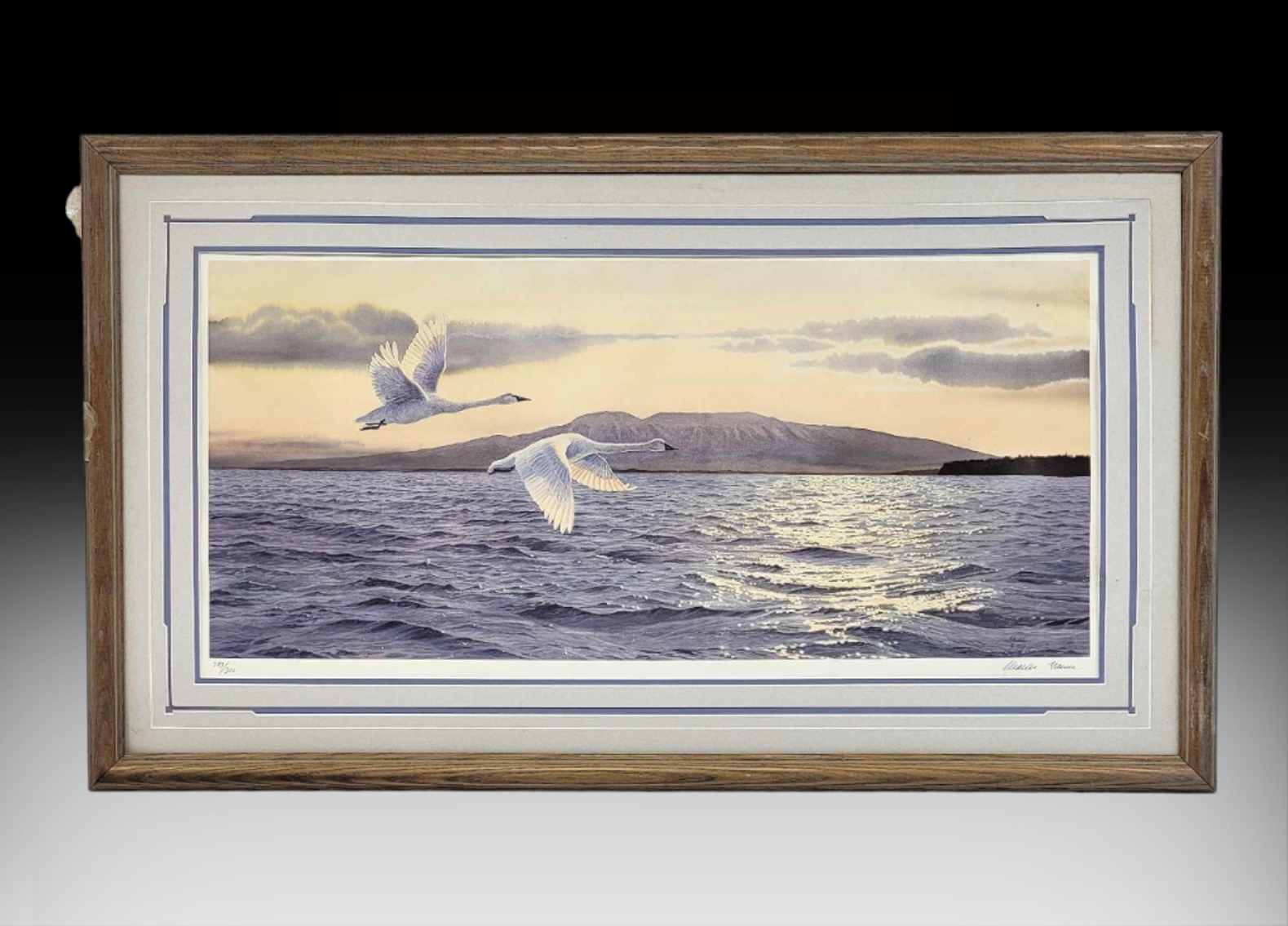 Charles Gause | Cruising Cook Inlet | MutualArt