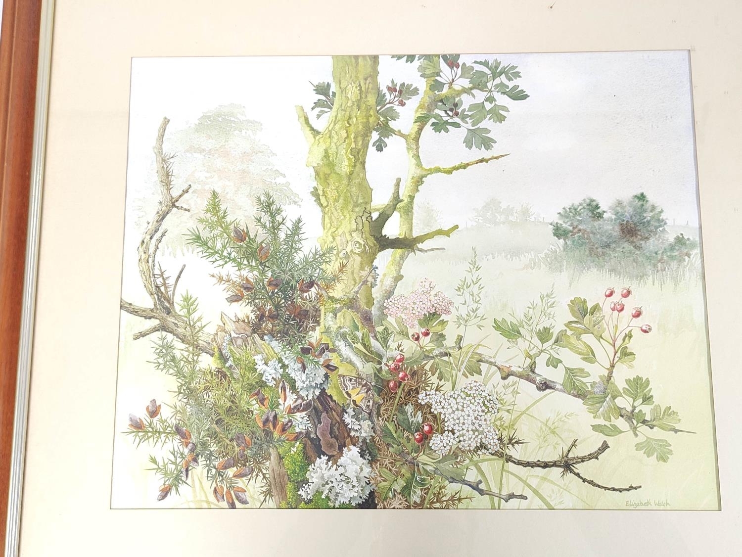 Elizabeth Walsh | Berries and Shrubbery | MutualArt