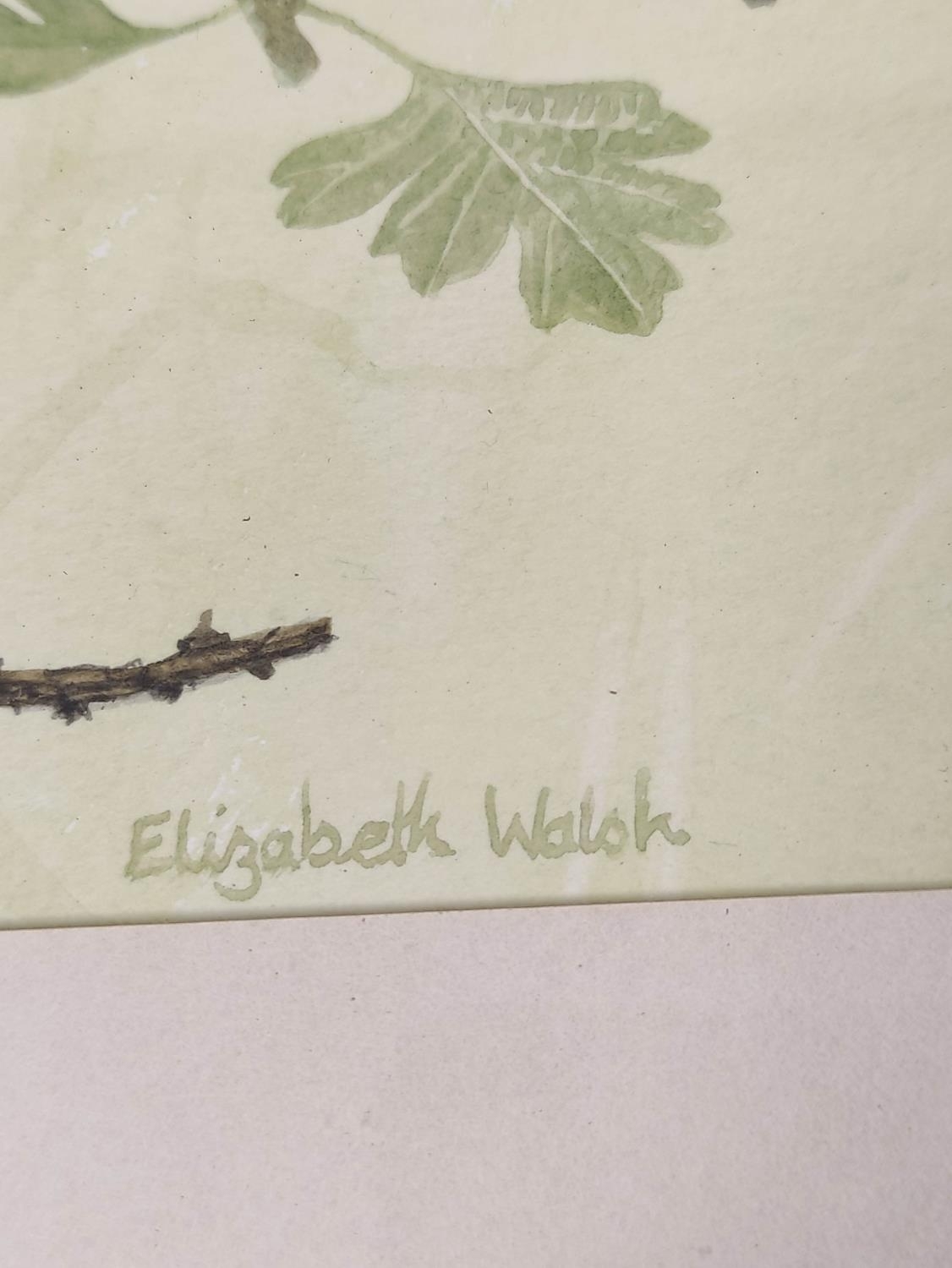 Elizabeth Walsh | Berries and Shrubbery | MutualArt