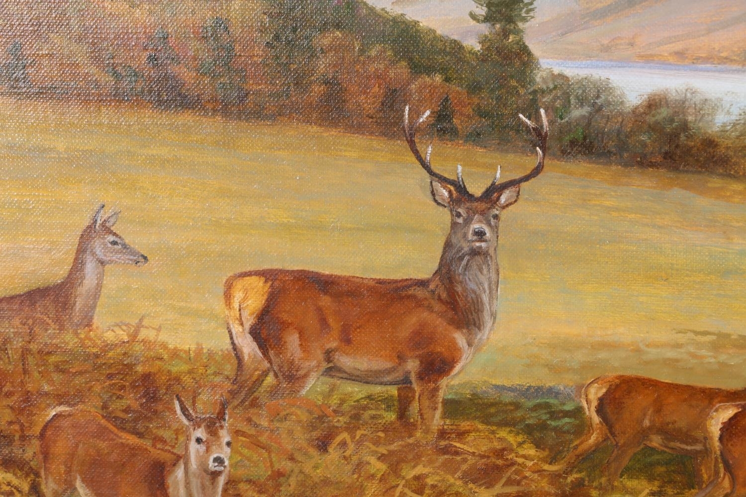 Elizabeth Halstead | Loch Broom | MutualArt