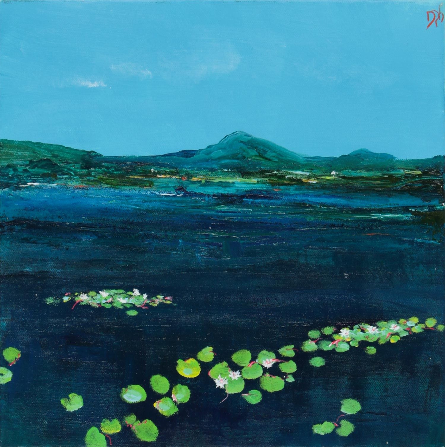 David Gordon Hughes | LILY POND, WEST OF IRELAND | MutualArt