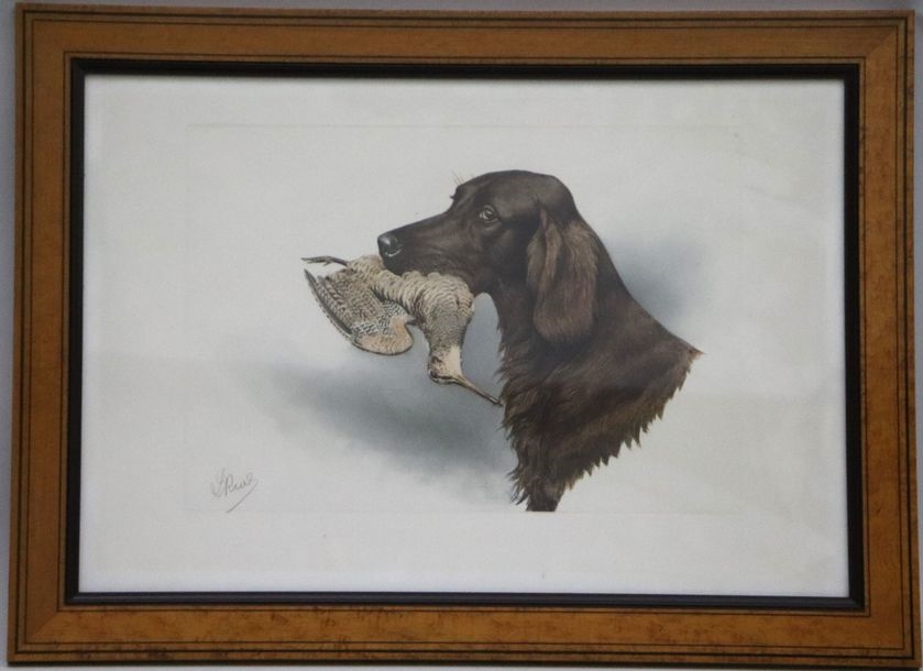 Boris Riab | Épagneul à la bécasse. | MutualArt